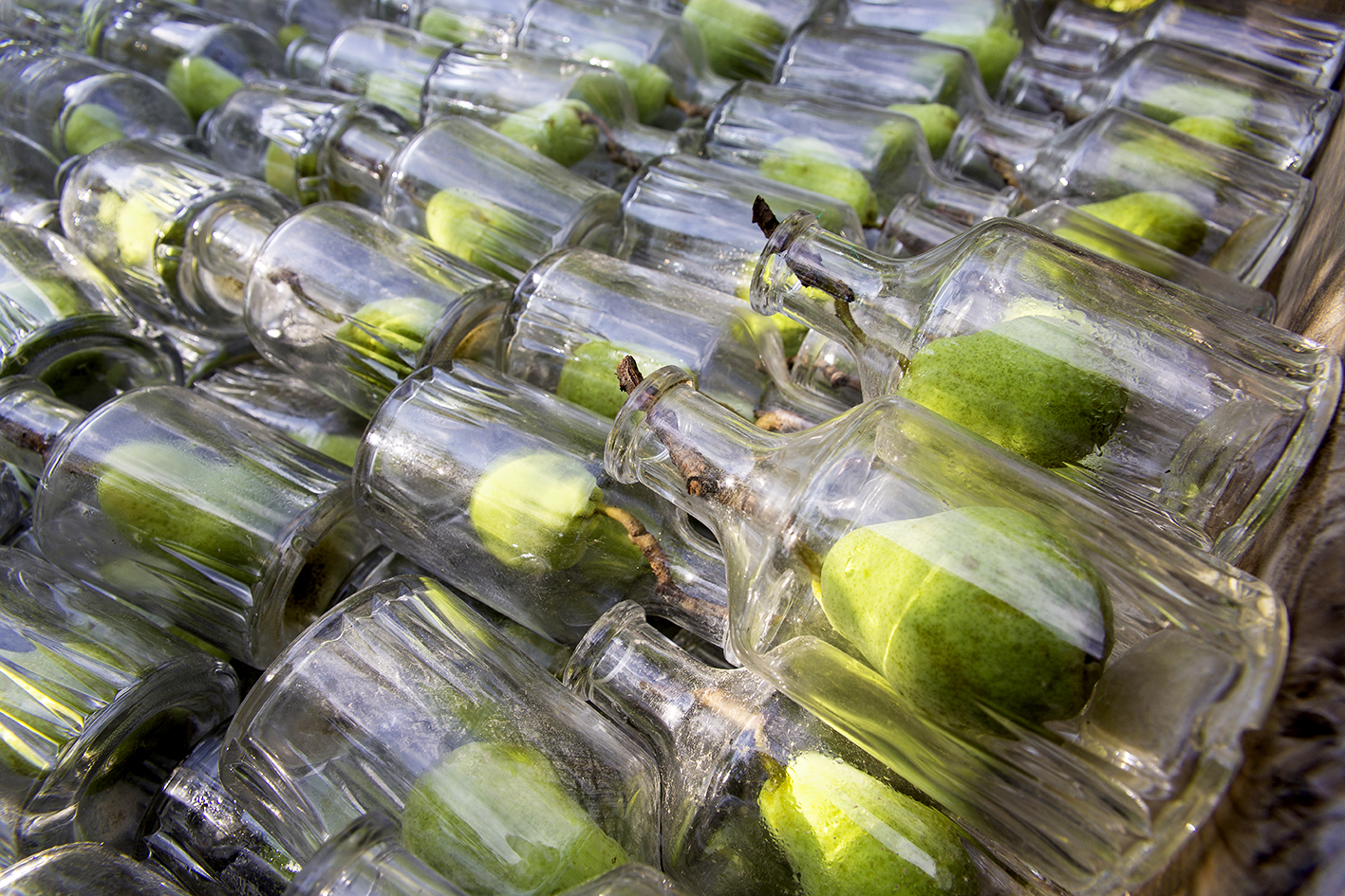 Hotellerie Gastronomie Zeitung: Avant l’AG, une partie récréative